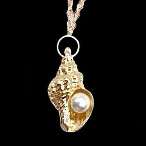 Jewelry | Pearl In A Triton Olive Trumpet Spindle Shell Murex Gold ...